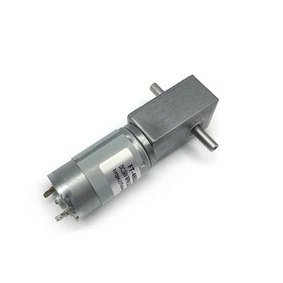 China Customized Manufacturer FT-46SGM395-69K 12V Micro DC Gear Motor 24V Worm Gear Motor for sale