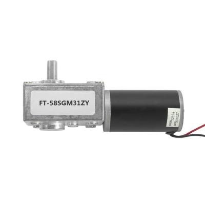 China FT-58SGM31ZY  Slow Speed Big Torque Worm Gear Motor Drives the Grill BBQ Motor for sale