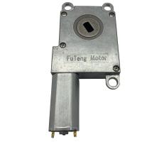 China China Wholesale Standard FT-63SGM190  8V Worm Gear Motor for  Smart Door Lock for sale