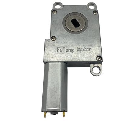 China China Wholesale Standard FT-63SGM190  8V Worm Gear Motor for  Smart Door Lock for sale