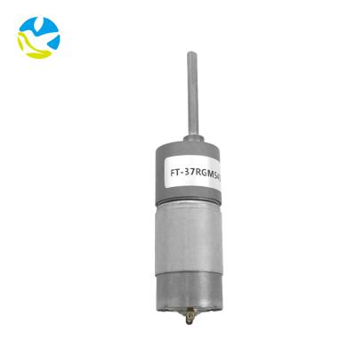 China DC 12V 24V Mini  Gear Motor 2-800rpm Spur Gear Motor for  Electric Daily Necessities for sale