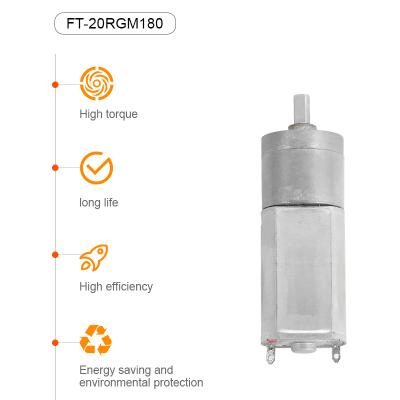 China China Wholesale  FT-20RGM180  DC Spur Gear Motor  for Smart Electric Equipments for sale