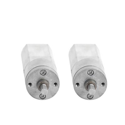 China Customized FT-20RGM180 20-500rpm 12V 24V Spur Gear Motor for sale