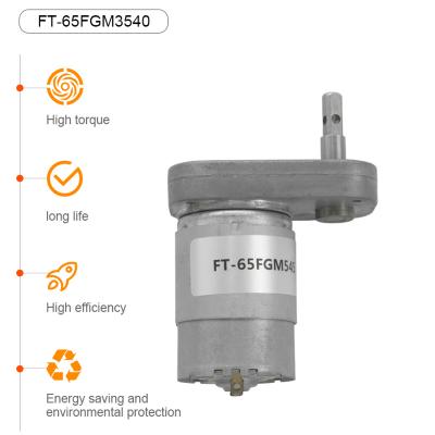 China 12V DC Flat Gear Motor Low Noise Brushed DC Electric Slow Speed 24V Gearbox Motor for sale