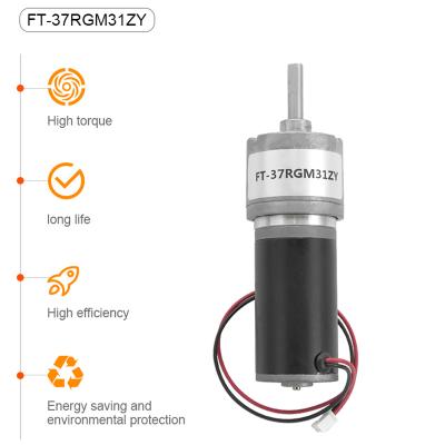 China 12v 24v ELectric Dc Motor 1- 600 Rpm High Torque Low Noise Mini DC Spur Gear Motor for sale