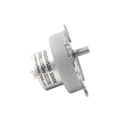 China Futeng Factory Wholesale 6v 12v 24v 49mm Long Lifetime Dc Spur Gear Motor Low Noise High Torque Micro Dc Gear Motor for sale