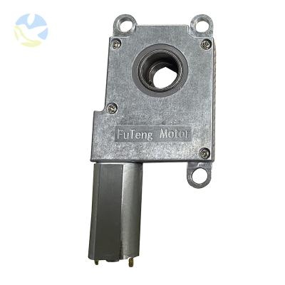 China Made in China Standard  Home Appliance Smart Door Lock 8V 60RPM Worm Gear Motors for sale