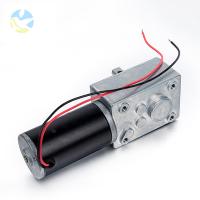 China Customization FT-58SGM31ZY  Slow Speed Worm Gear Motor for Kitchen Exhaust Hood for sale