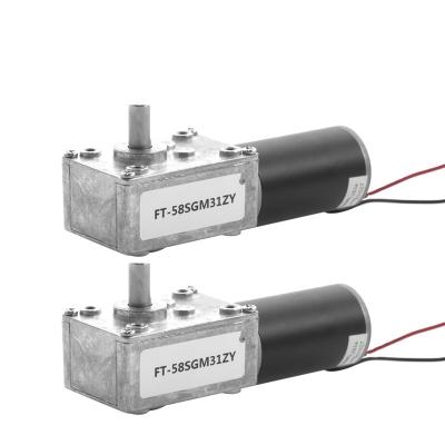 China FT-58SGM31ZY  Automatic Self- Cleaning Litter Boxes Worm Gear Motor for sale