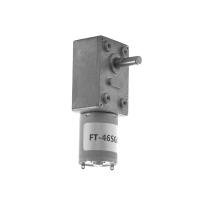China Factory Price FT-46SGM370 12v 24v Dc Worm Geared Motor  for Robot for sale