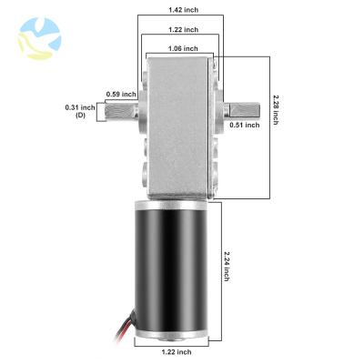 China FT-58SGM31ZY Double Shaft Worm Gear Motor High Torque Low RPM DC Gear Motor for sale