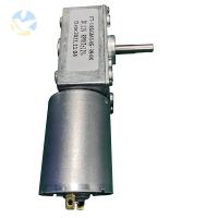 China FT-58SGM545 5RPM DC Worm Gear Motor 12V Explosion Proof For Auto Cat Toilet for sale