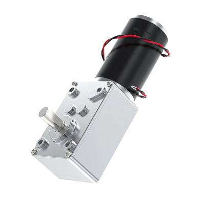 China High Power Silent Worm Gearbox Motor Flange Mount for AI Visualization Smart Pet Toilet for sale