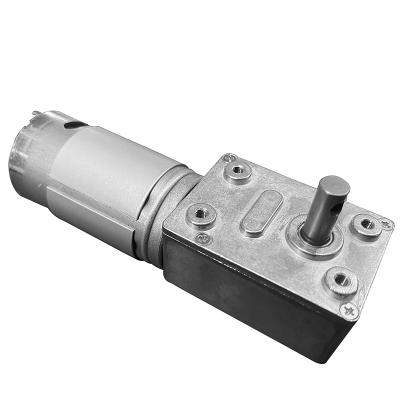 China FT-58SGM555 High Torque Worm Gear Motor 12V 24V For Household Appliances for sale