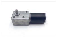China FT-58SGM36ZY 12v 85RPM High Torque High Power Low Speed Worm Gear Motor for 360 Video Booth for sale
