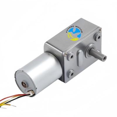 China FT-46SGM2430 DC Brushless Worm Gear Motor Speed Adjustable Reversible Gear Motor for sale