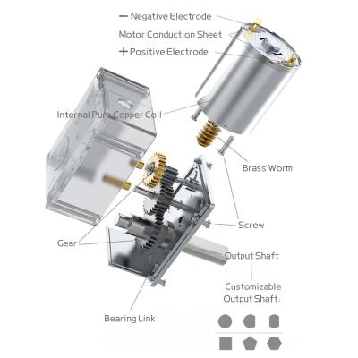 China High Torque 12v 24v Dc Worm Gear Motor Low Rpm Micro Dc Worm Motor for Robot for sale