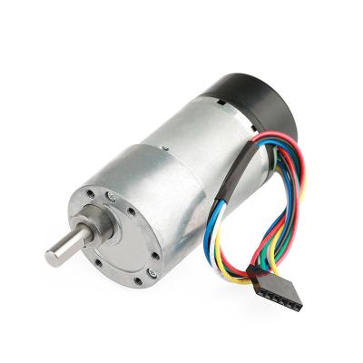 China FT-37RGM3530 Electirc Motor Excellent Quality Big Torque High Efficiency Silent 6v12v 24v Mini Slow Speed Rpm Spur Gear Motor Install Hall Encoder for sale