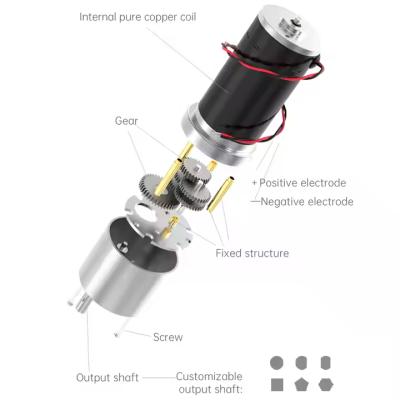 China FT-37RGM31ZY Electric Motor Excellent Quality Big Torque High Efficiency Silent 5v 6v12v 24v Mini Slow Speed Rpm Spur Gear Motor for sale