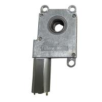 China FT- 63SGM190-182K 8V Small Silent Electric Motor 60Rpm Smart Door Lock Motor for sale