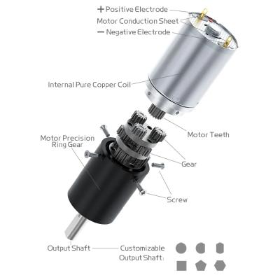 China FT-24PGM370 12v 24 Volt Low Speed High Torque High Precision High Efficiency Sun Planet Gear Structure Reduction Motor for sale