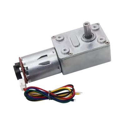 China FT-46SGM370 Worm Gear Motors with Hall Encoder for Boundless Lawn Mowing Robots for sale