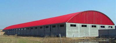 China Light Steel Frame Livestock House Building with 50-Year Lifespan for sale