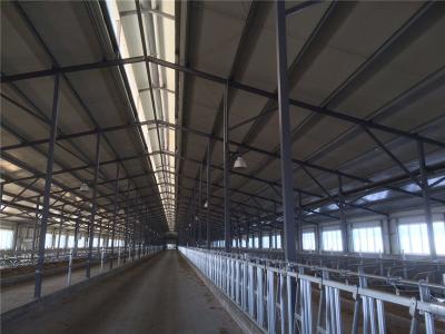 China Prefabricated Insulation Steel Cowshed with Sandwich Panel for sale