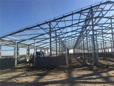 China Q355B Prefabricated Steel Structure Building for Milk Processing Plant for sale