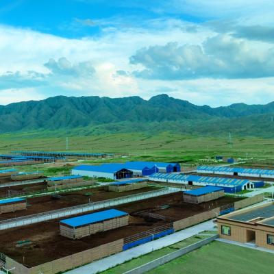 China Poultry House for Broiler, Layer & Breeder Farms – Prefabricated Steel Structure with Insulated Panels and Ventilation System for sale