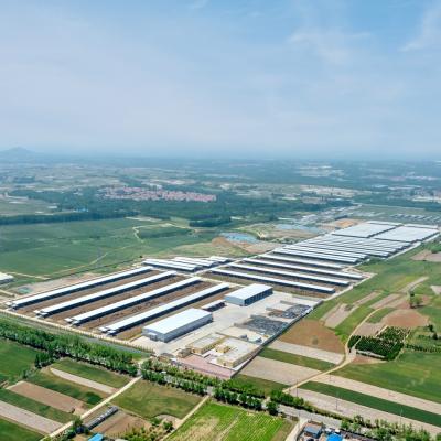China Prefab Steel Structure Warehouse Building Customizable Fast Installation for sale