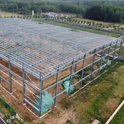 China 50-Year Painting Prefabricated Steel Frame Buildings for Agriculture for sale