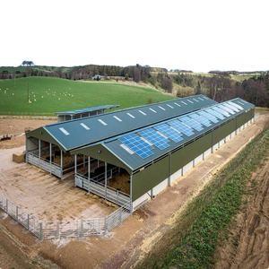 China Custom Cattle Shed Steel Structure Prefab Cattle Barns Dairy Farm Agricultural Buildings for sale