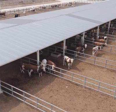 China Professional Horse Stalls Corrosion Resistant Indoor Outdoor Use for sale