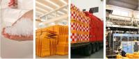 China Outdoor Security Plastic Road Safety Barrier Customized Water Filled for sale