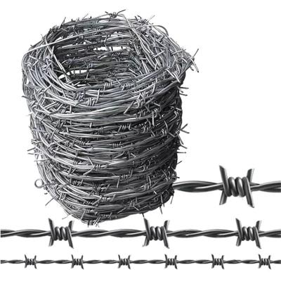 China Customized Hot Dipped Galvanized Barbed Wire Fence with Stainless Steel Material for sale