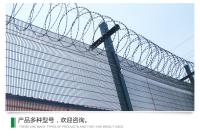 China Customized Hot Dipped Galvanized Barbed Wire Fence with Stainless Steel Material for sale