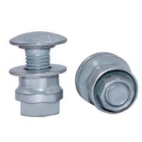 China Hot Dipped Galvanized Steel Guardrail Bolt and Nut for Multi-functional Stanchion for sale