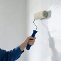 China High Adhesion Paint Bonding Agent with Anti-Alkali & Mold-Resistant for Cement Wall & Exterior Coating System for sale