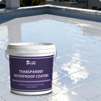 China Transparent Waterproof Liquid Coating with High Elasticity & Strong Adhesion for Roof Wall Bathroom Leak Repair Appliance Paint for sale