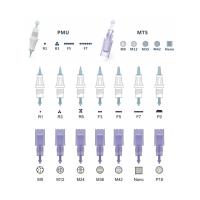 China Tattoo Gun Permanent Makeup Tattoo Machine Electric Derma Pen V6 Artmex MTS PMU Eye Brow Lip for sale