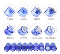 China Derma Rolling System with 1 3 5 7 9 12 24 36 42 Pins Nano Needle Cartridge Skin Care for sale