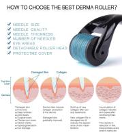 China Beauty Microneedle Instrument 540 Needle Microneedle Facial Skin Roller for Nose for sale