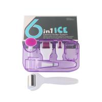 China Professional Medical PC Handle Detachable ICE Derma Roller 6 in 1 for Skin Rejuvenation for sale