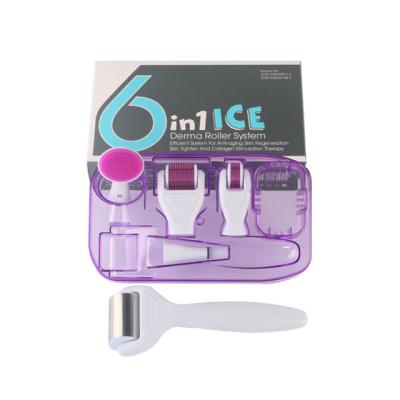 China Professional Medical PC Handle Detachable ICE Derma Roller 6 in 1 for Skin Rejuvenation for sale