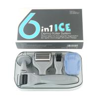China Professional Medical PC Handle Detachable ICE Derma Roller 6 in 1 for Skin Rejuvenation for sale