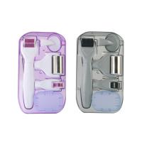 China Professional Medical PC Handle Detachable ICE Derma Roller 6 in 1 for Skin Rejuvenation for sale