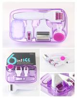 China Professional Medical PC Handle Detachable ICE Derma Roller 6 in 1 for Skin Rejuvenation for sale