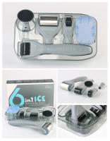 China Professional Medical PC Handle Detachable ICE Derma Roller 6 in 1 for Skin Rejuvenation for sale