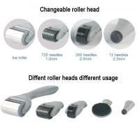 China Professional Medical PC Handle Detachable ICE Derma Roller 6 in 1 for Skin Rejuvenation for sale